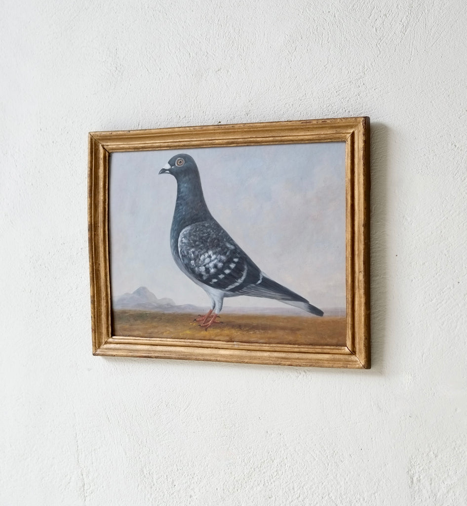 Naive School Study Of A Pigeon Oil On Board – punch the clock